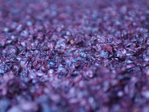 Why weaker wines taste astringent | Jancis Robinson