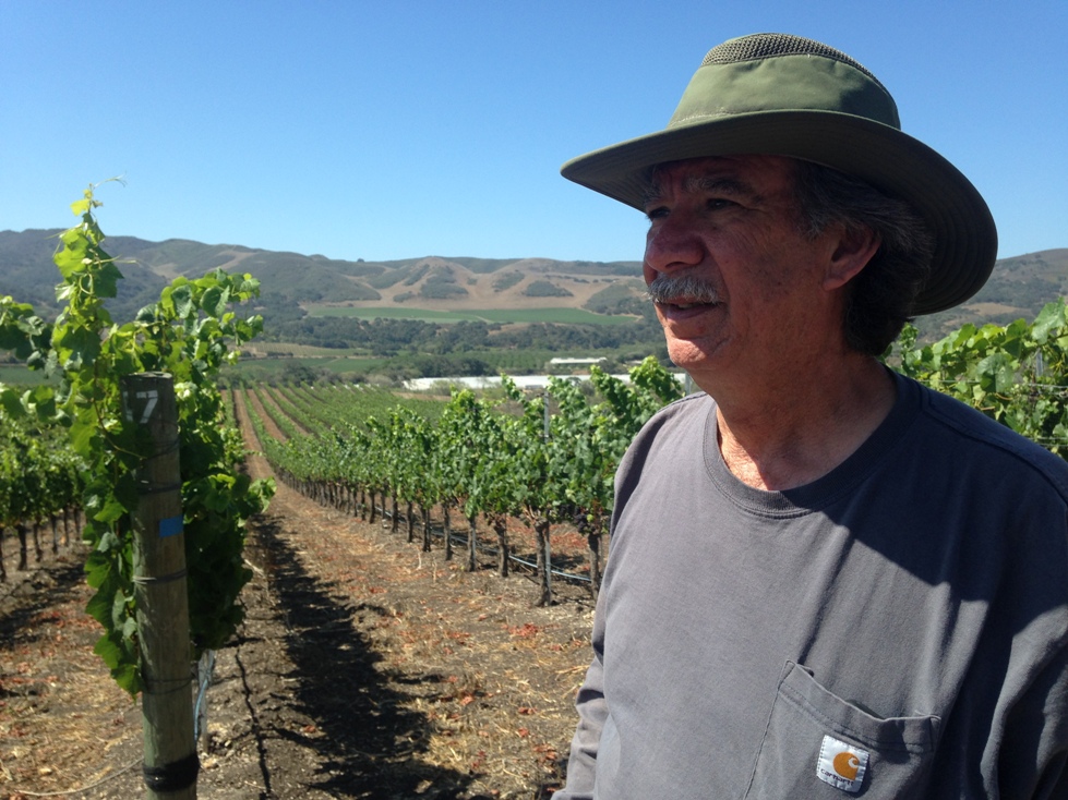 Santa Barbara County Pinot Noir | Jancis Robinson