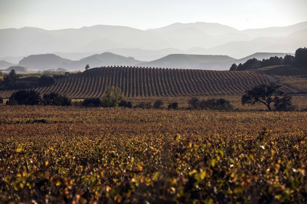 Rioja embraces geography | Jancis Robinson