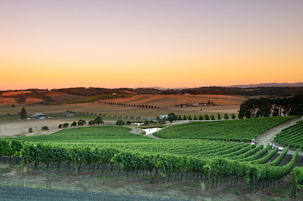 Van Duzer Corridor AVA now official | Jancis Robinson