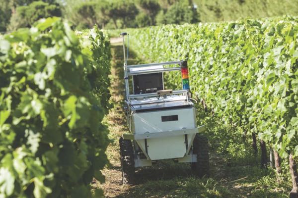 Robots in the vineyard, shredders in the winery | Jancis Robinson