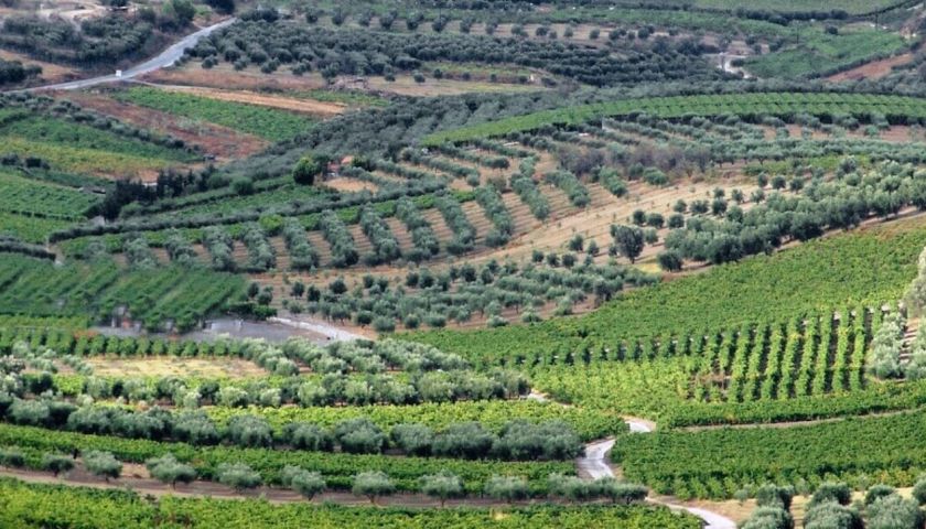 Up-and-coming wine regions worth checking out | Jancis Robinson