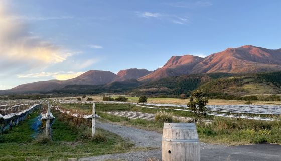 Japan wine – touring Hokkaido and smaller wine regions throughout Japan ...