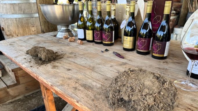 Farm like there's no tomorrow | Jancis Robinson