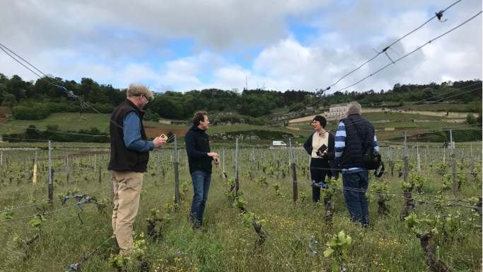 Dom Arnoux-Lachaux 2020 – in the garden of earthly delights? | Jancis ...