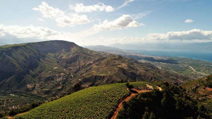 Rouvalis, Tsigello 2021 Slopes of Aigialeia | Jancis Robinson