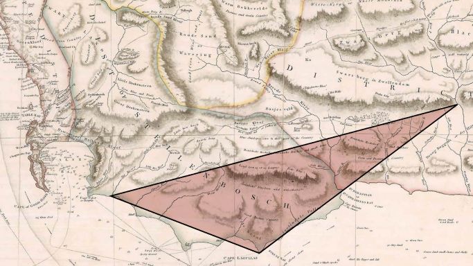 South Africa's coolest Sauvignon and Syrah | Jancis Robinson