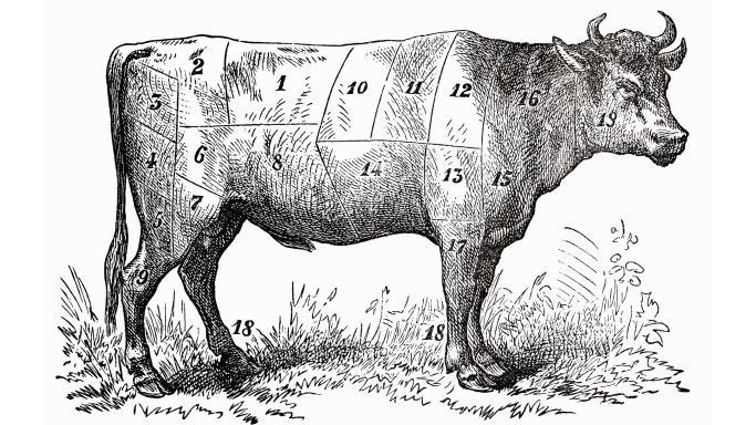 Wine with meat | Jancis Robinson