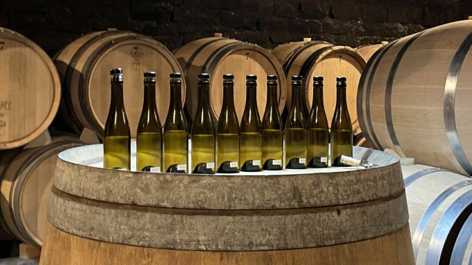 Burgundy 2023 – UK merchants making offers | Jancis Robinson