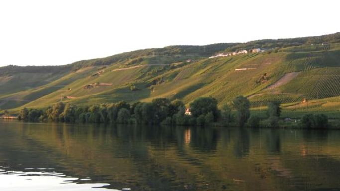 J J Prüm, Graacher Himmelreich Kabinett 2016 Mosel | Jancis Robinson