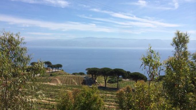 Faro and Mamertino together – a first | Jancis Robinson