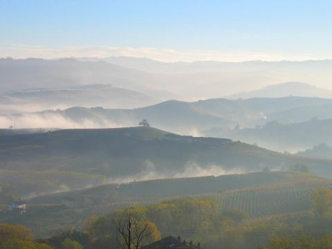 Marrone, Che Vale Nebbiolo, Langhe | Jancis Robinson